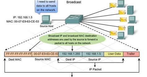 Networking DCCN Ethernet Frame