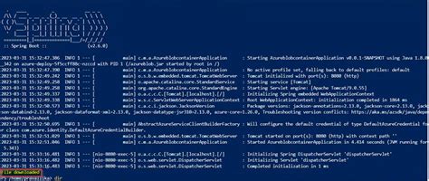Azure Aks Java Service Running In Aks To Access Storage Blob Using System Assigned Maanaged
