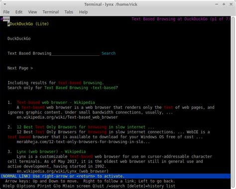 Text Based Web Browser Windows Vastling