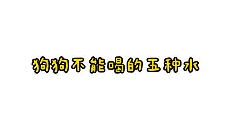 宠物知识分享狗狗不能喝这五种水你知道吗 凤凰网视频 凤凰网
