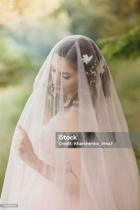 데이지와 흰 꽃으로 장식 된 곱슬 머리를 가진 매력적이 고 달콤한 젊은 여자는 신비 하 게 베일 아래 그녀의 얼굴을 숨 깁니다 고급 스러운 핑크 드레스 화창한 여름과 야생