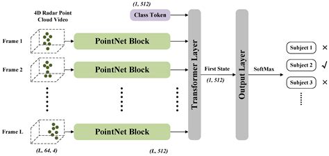 A Novel Spatialtemporal Network For Gait Recognition Using Millimeter