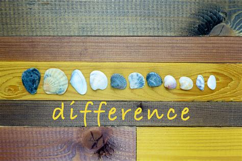 중앙에 다양한 크기와 모양의 조개 차이의 결합의 개념 얼룩의 다른 색상으로 처리 나무 테이블에 개념에 대한 스톡 사진 및 기타