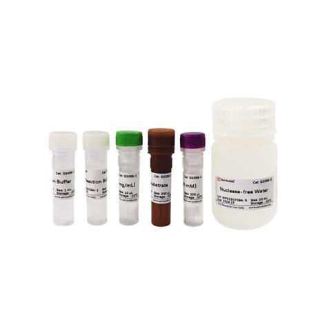 China Customized Rnase Residue Detection Kit Manufacturers Suppliers Factory Oem Service