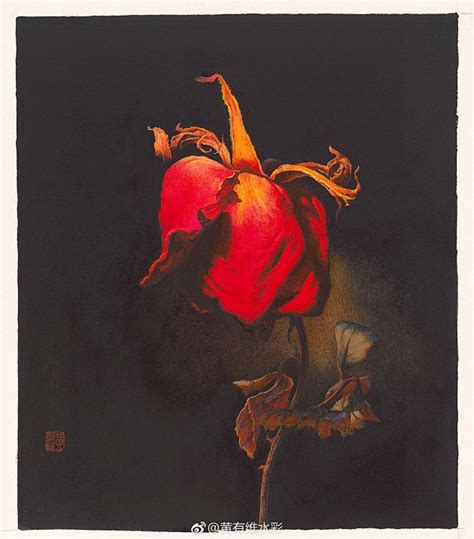 画家 黄有维 花卉水彩 水彩 花瓣网