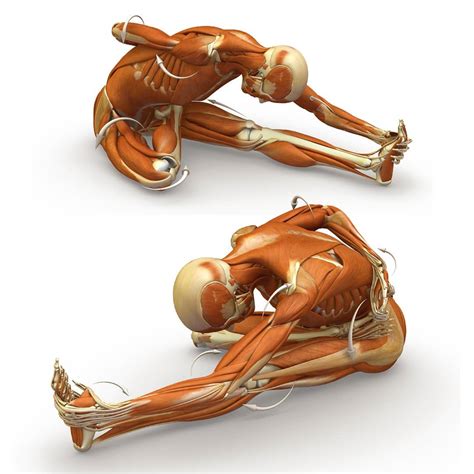 Ardha Baddha Padma Paschimottanasana