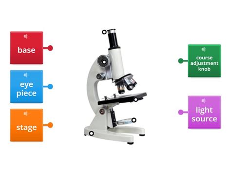Label The Microscope Labelled Diagram