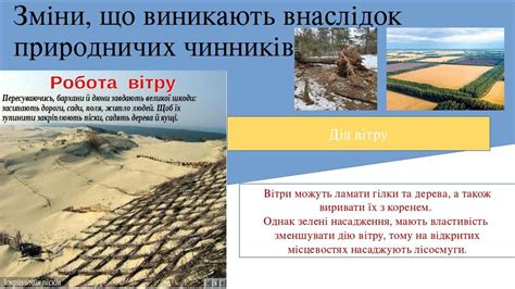 ПРЕЗЕНТАЦІЯ ЗА ТЕМОЮ РУЙНУВАННЯ ГІРСЬКИХ ПОРІД 5 клас НУШ Презентація Пізнаємо природу