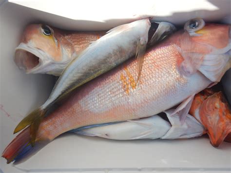 Dscn1811 釣り船 貴新丸