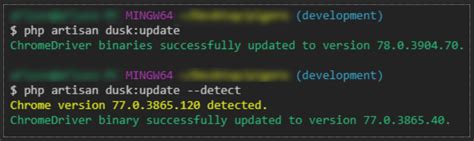 Not Able To Update Chromium Driven Issue 11 Staudenmeir Dusk