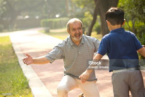 Abuelo Alegre Abrazando A Su Nieto En El Parque Foto De Stock Y Más