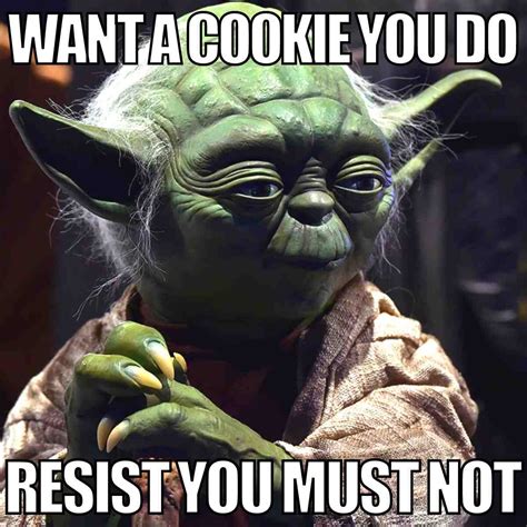 Best Girl Scout Cookie Memes 2024 To Sell Cookies With