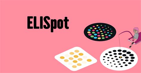 Mabtech Elispot Sensitive Kits Accurate Readers