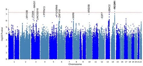 Manhattan Plot For Genetic Association Analysis With Tinnitus Symptoms