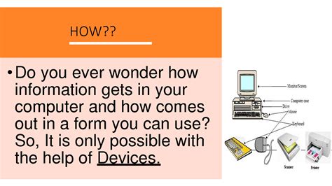 Solution Input And Output Devices Studypool
