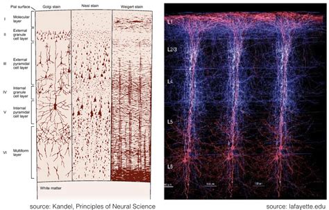 Thoughts On Generative Models Joe Marino