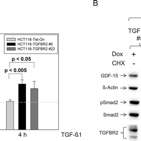 Expression Analyses Of Gdf 15 A Upregulated Transcript Levels Of