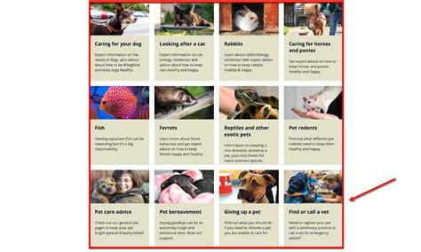 Best Practices To Create A Content Cluster Strategy