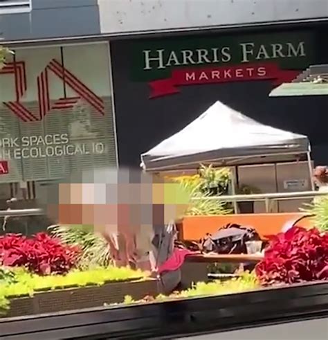 Shocking Moment Couple Perform Bizarre Public Sex Act In Broad Daylight In Front Of Horrified