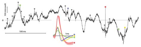 Flexdrive — Open Ephys