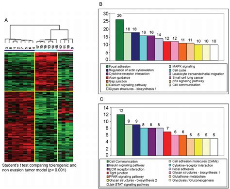 Gene Expression Profiling And Gene Oncology Pathway Analyses In