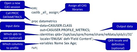 Juletip 14 Proc Datametrics Data Profiling In Sas Code Sas