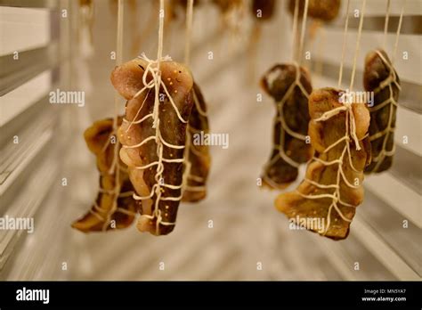 Sausage Hanging And Curing House Made Gourmet Cured Heritage Texas