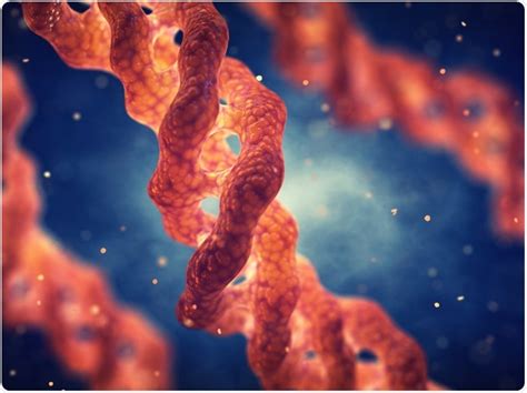 What Is Trimerization