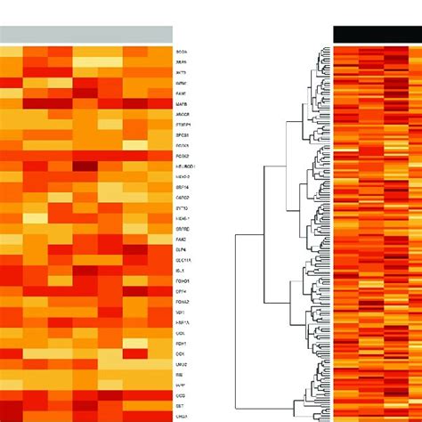 Heatmap Of Gene Sets Significantly Altered In Type 1 Diabetes Using Download Scientific Diagram