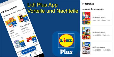 Lidl Plus App Nachteile Und Vorteile Im Detail Discountercheck