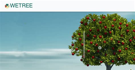 Vite React Ts Codesandbox