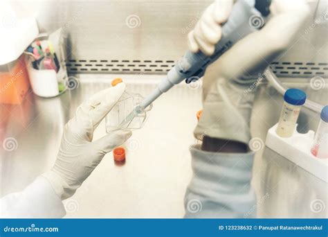 The Women Researcher Using Pipette And Cell Culture Flask Do The Aseptic Technique For Changing