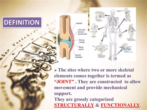 Human Joint Classification By Durba Chatterjee Ppt Human Joint Classification By Durba Chatterjee Ppt
