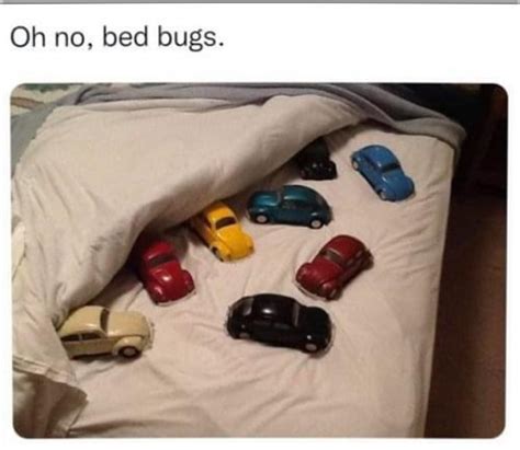 Made Me Lol R Goodboomerhumor