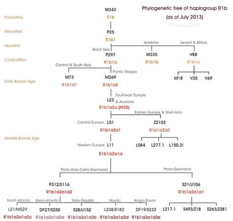 My Hartley Ydna Hartley Dna And Genealogy