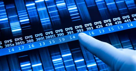 Informaci N Sobre La Prueba De Array Prueba Array En Guip Zcoa