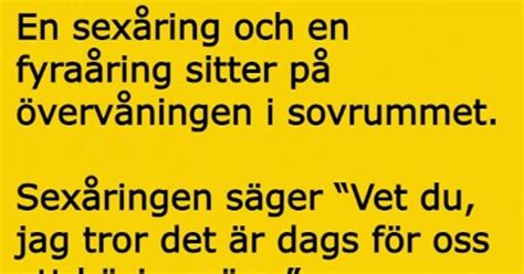 En Sex책ring Och En Fyra책ring Sitter P책 철verv책ningen
