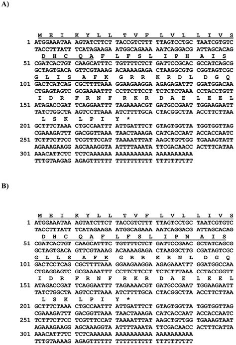 Nucleotide And Translated Open Reading Frame Amino Acid Sequences Of Download Scientific
