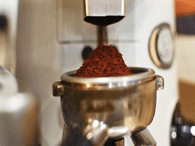 Cafresco Fresh Roasted Coffee