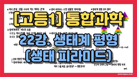 [고1 통합과학] 22강 먹이관계 생태 피라미드 생태계 평형 Youtube