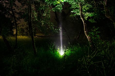 Siluet Aneh Di Hutan Seram Gelap Di Malam Hari Lanskap Mistis Cahaya