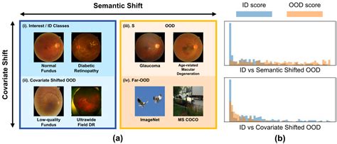 [논문 리뷰] Delving Into Out Of Distribution Detection With Medical Vision