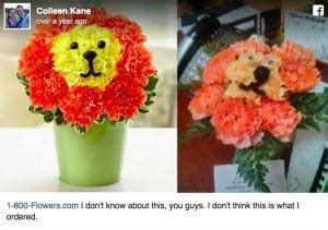 12 Examples Of Hilarious Online Ordering Fails