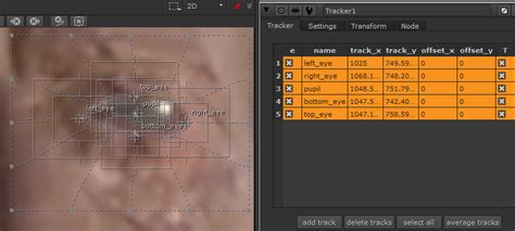 Tracking Using The Tracker Node