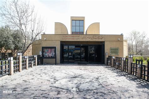 برنامه‌های مدون موزه هنرهای معاصر تهران چه شد؟ نگران حشرات نباشید