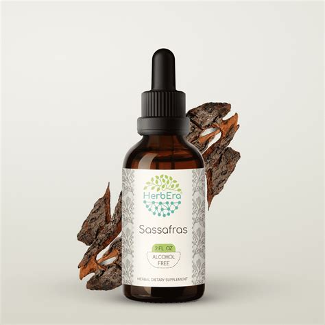 Sassafras Alcohol Free Herbal Extract Tincture Super Concentrated