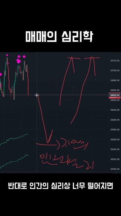 비트코인 엘리어트파동 이론 Youtube