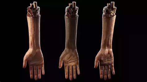 3d Model Hand Arm Severed Low Poly Rigged Vr Ar Low Poly Rigged