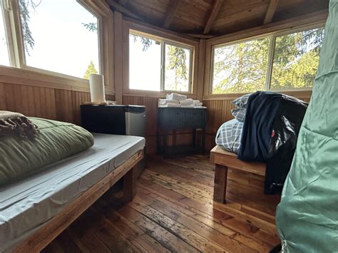 The Treezebo Out N About Treesort