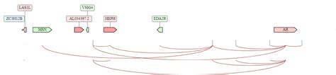 missing arcs when plotting bedpe file format · issue 73 · gangcaolab coolbox · github